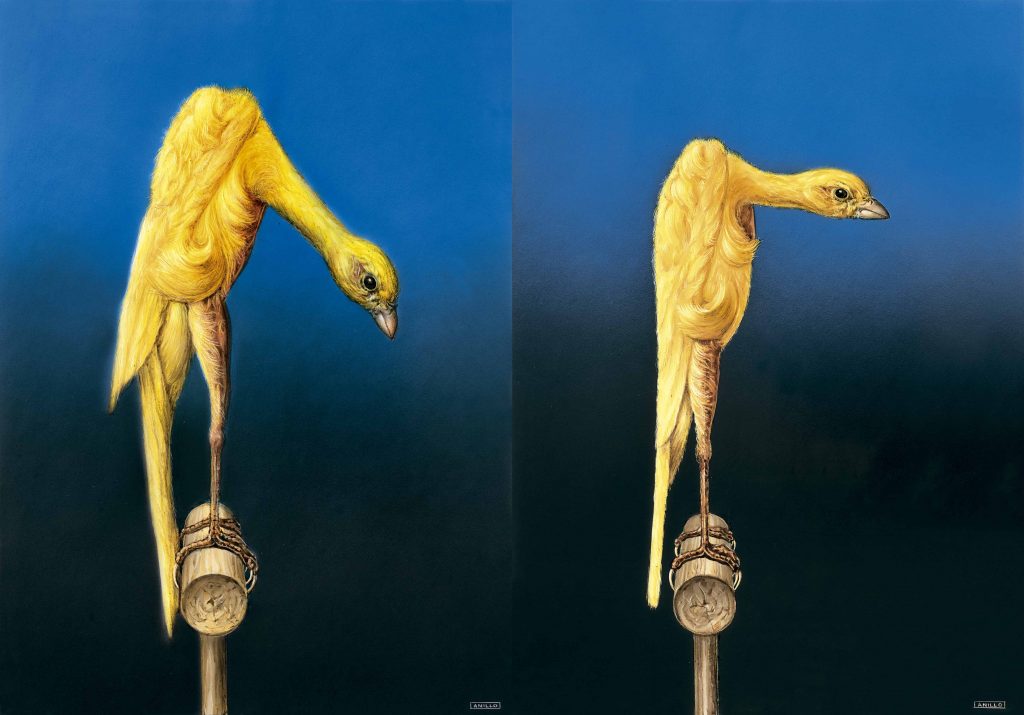 Diferencias entre el Giboso Sevillano y el Gibber Italicus (1980 ...